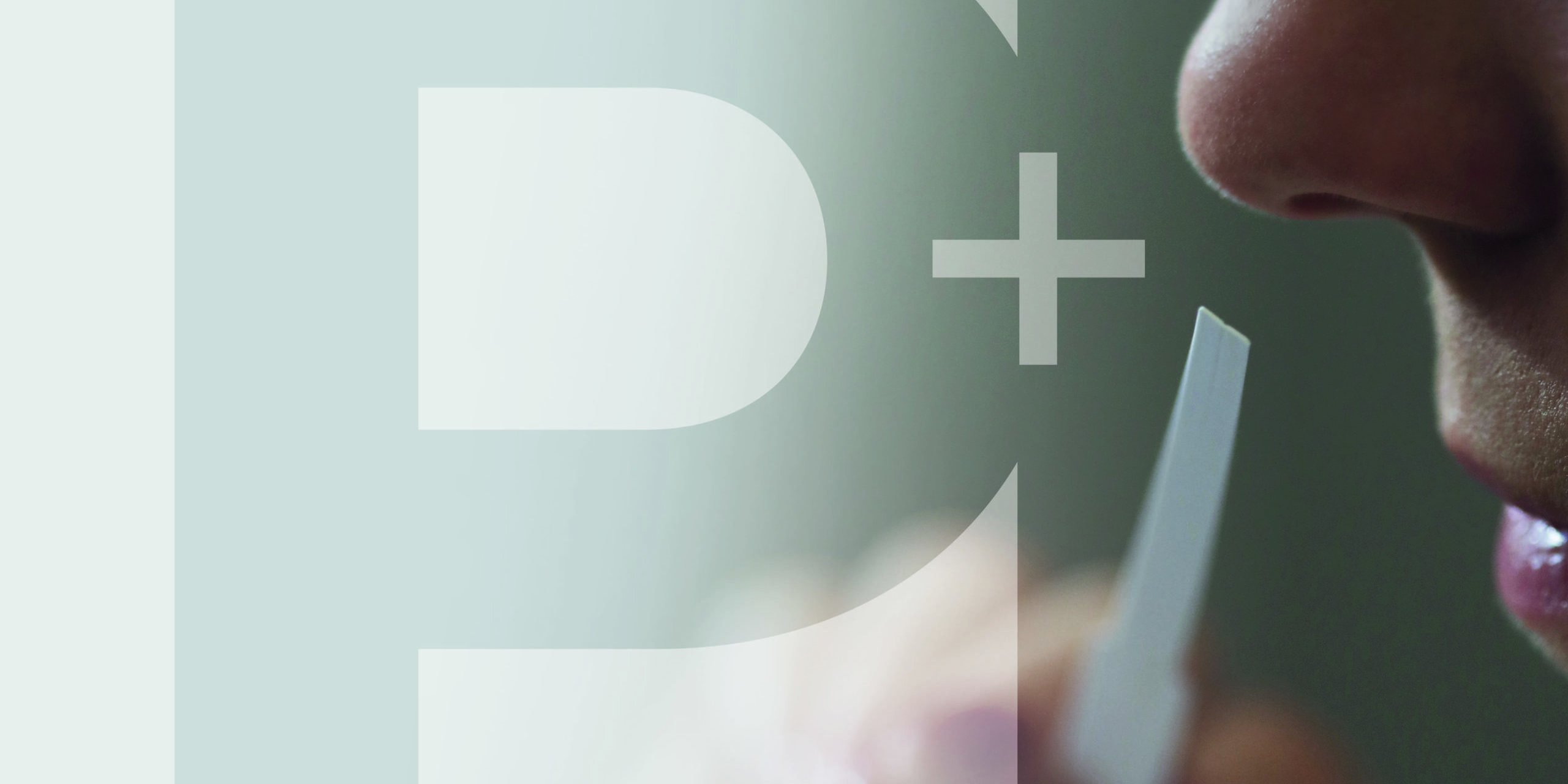 NOUVELLE IDENTITE VISUELLE - Parfums Plus NOUVELLE IDENTITE VISUELLE - Parfums Plus
